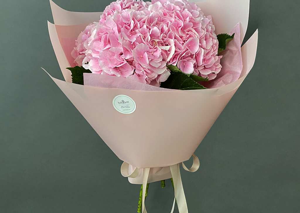 Bouquet of Pink Hydrangeas